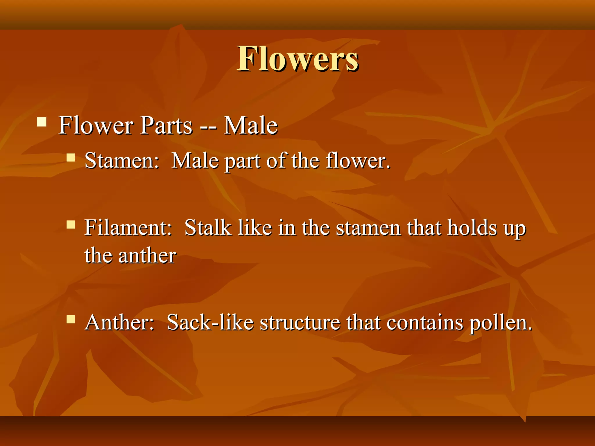 Plant structure and function | PPT