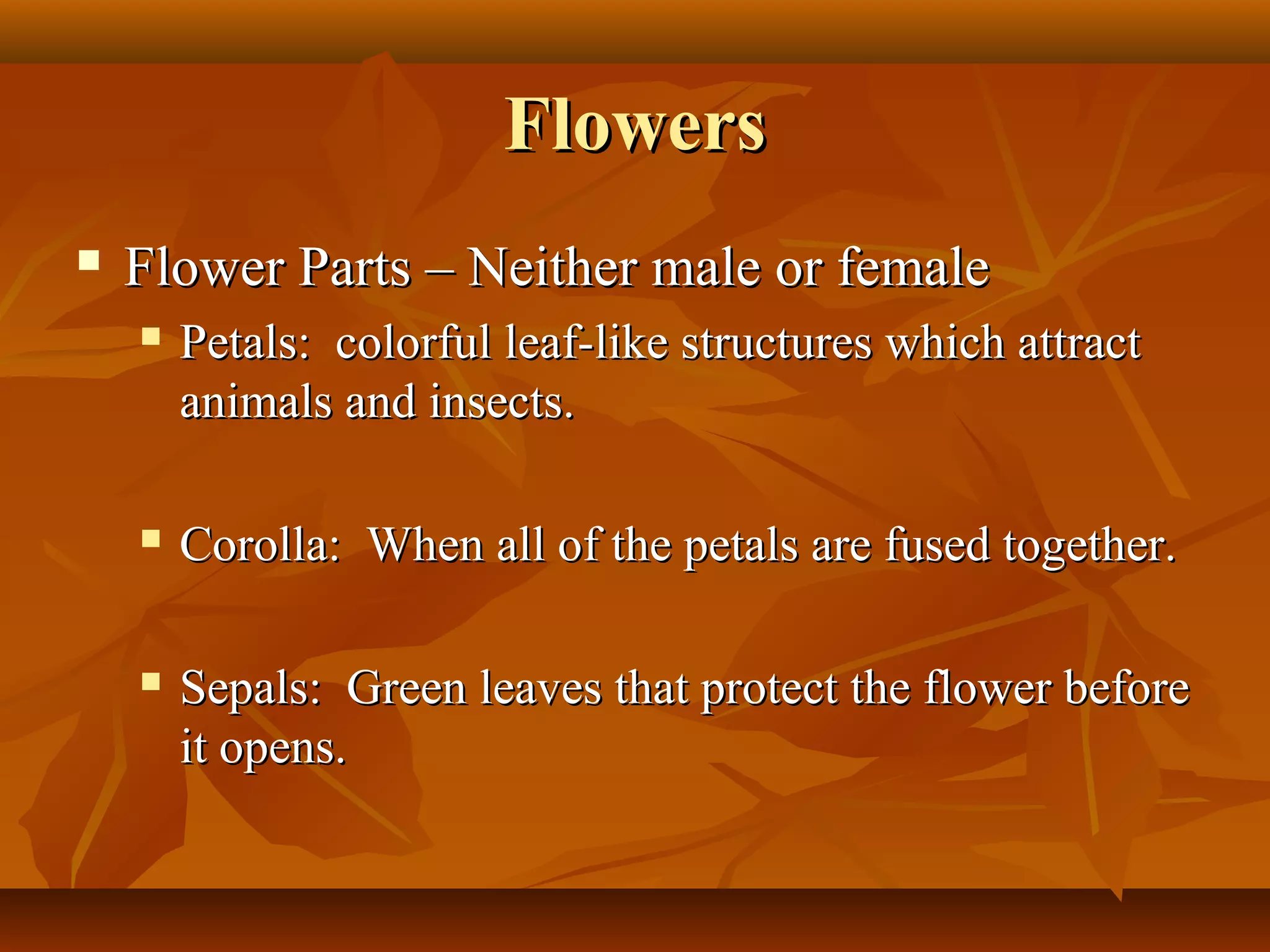 Plant structure and function | PPT