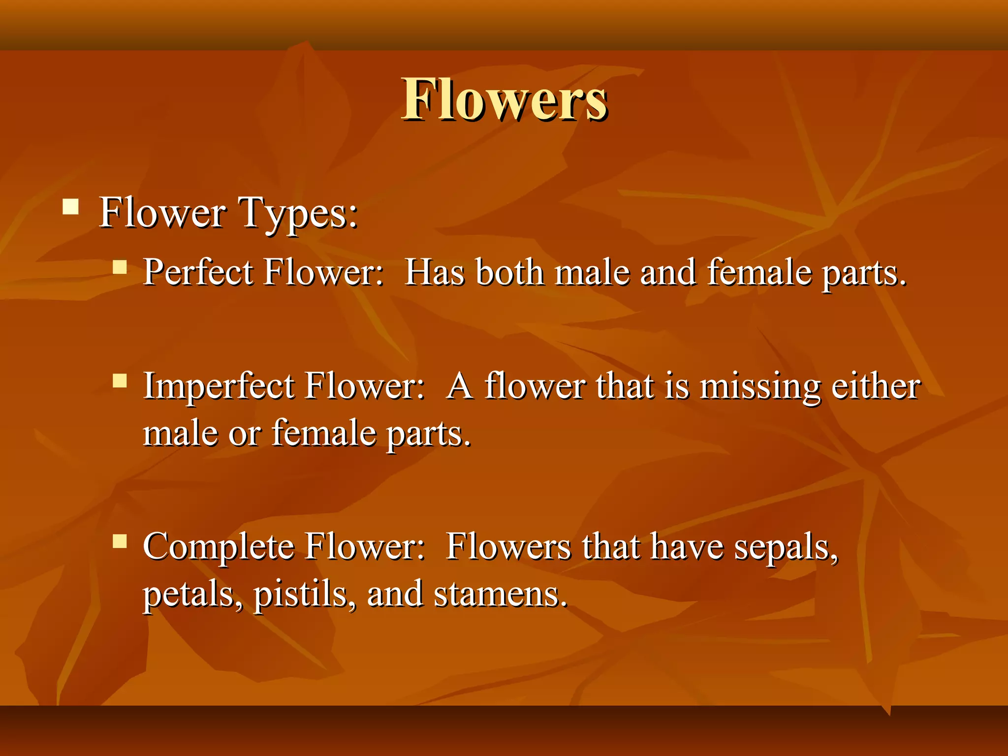 Plant structure and function | PPT