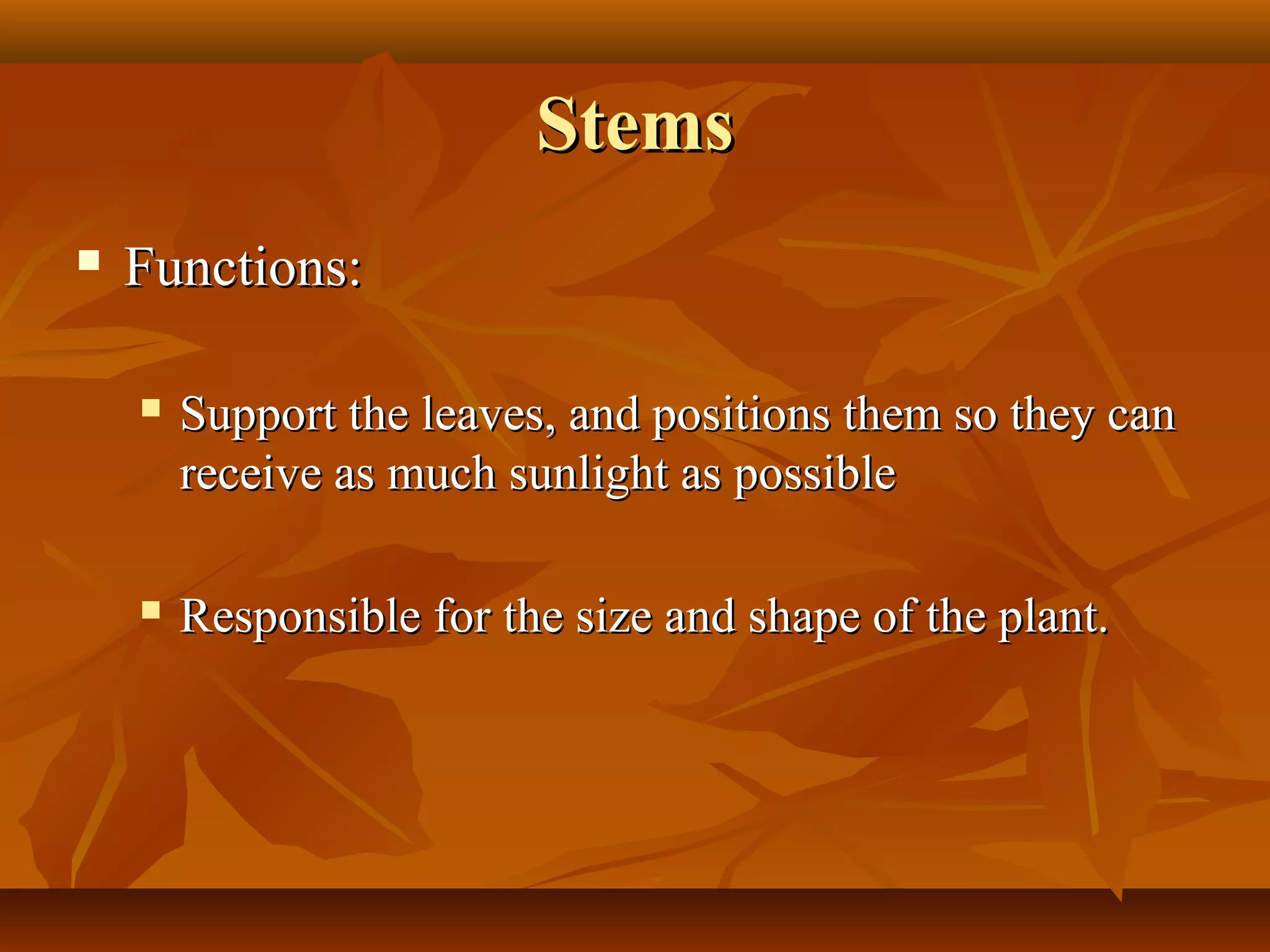 Plant structure and function | PPT