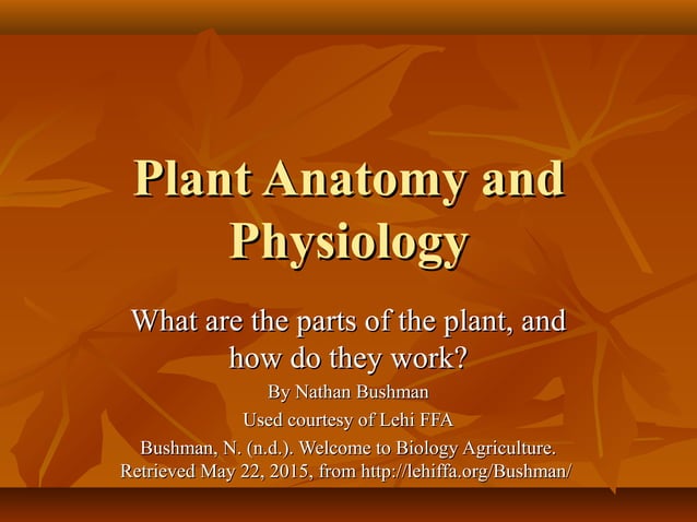 Plant structure and function | PPT