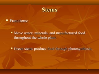 Plant structure and function | PPT