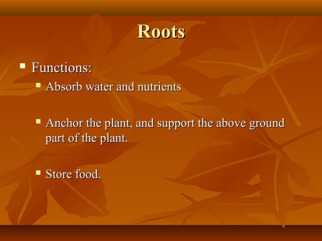 Plant structure and function | PPT