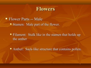Plant structure and function | PPT