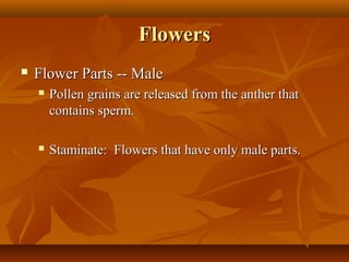 Plant structure and function | PPT