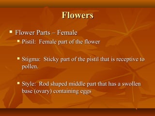 Plant structure and function | PPT
