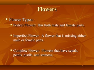 Plant structure and function | PPT