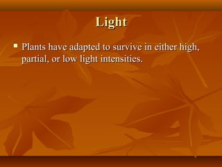 Plant structure and function | PPT