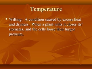 Plant structure and function | PPT