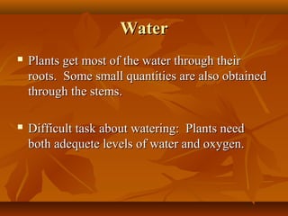 Plant structure and function | PPT