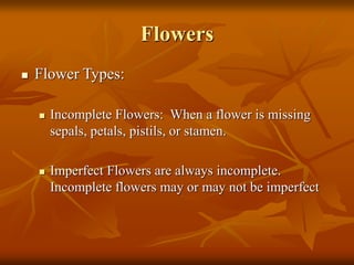 Plant Structure and Function.ppt
