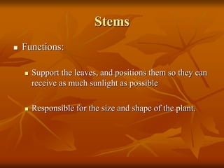 Plant Structure and Function.ppt