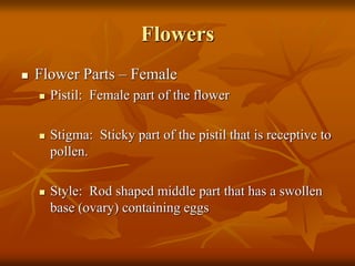 Plant Structure and Function.ppt
