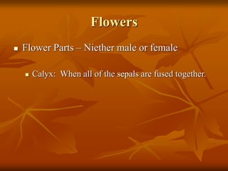 Plant Structure and Function.ppt