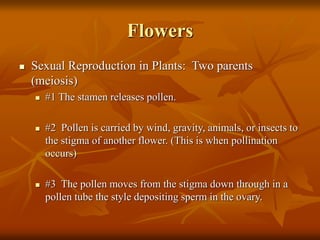 Plant Structure and Function.ppt