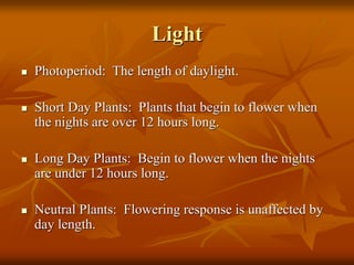 Plant Structure and Function.ppt