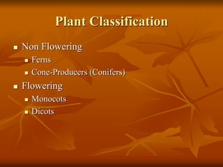 Plant Structure and Function.ppt