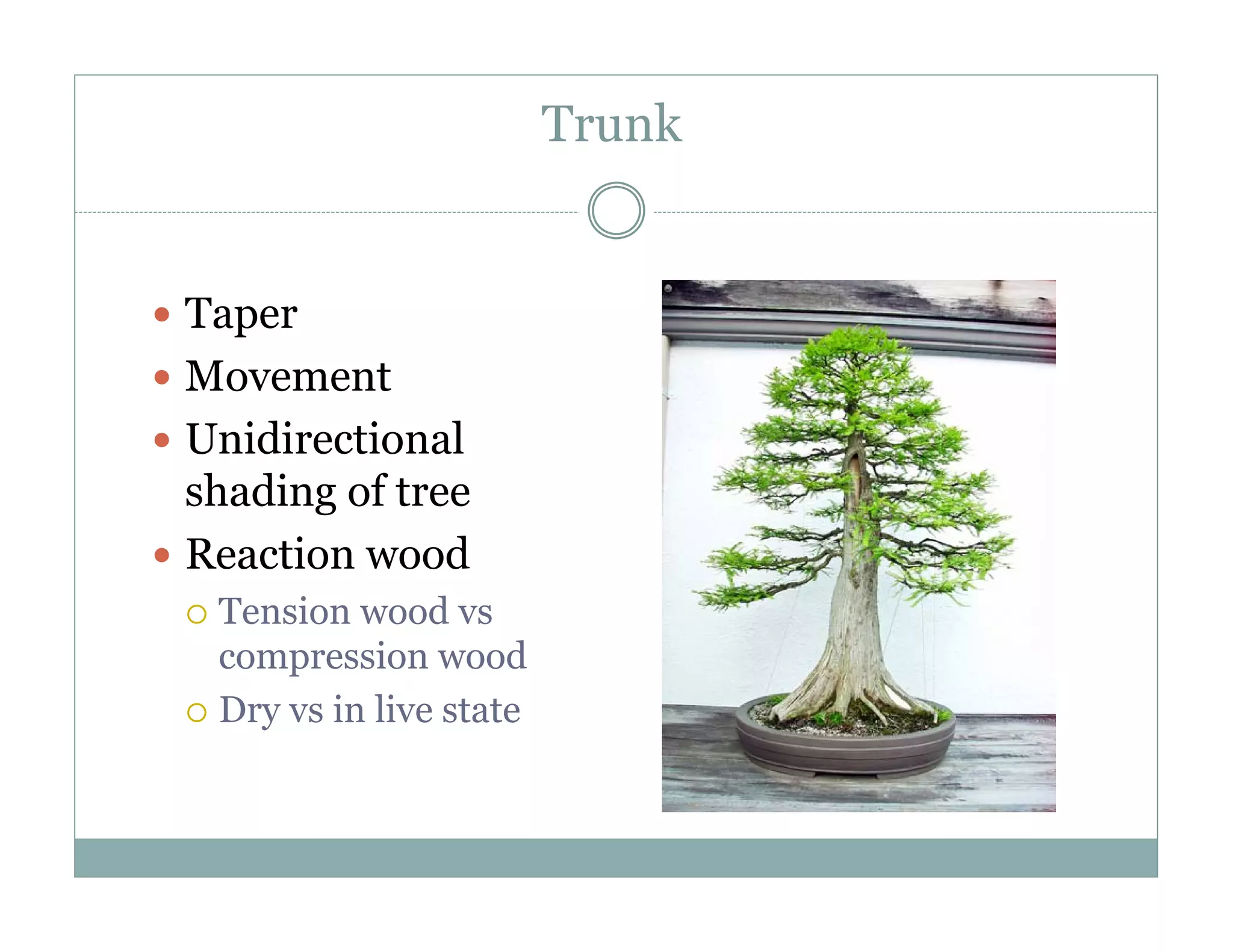 Plant Structure and Function (PDF).pdf