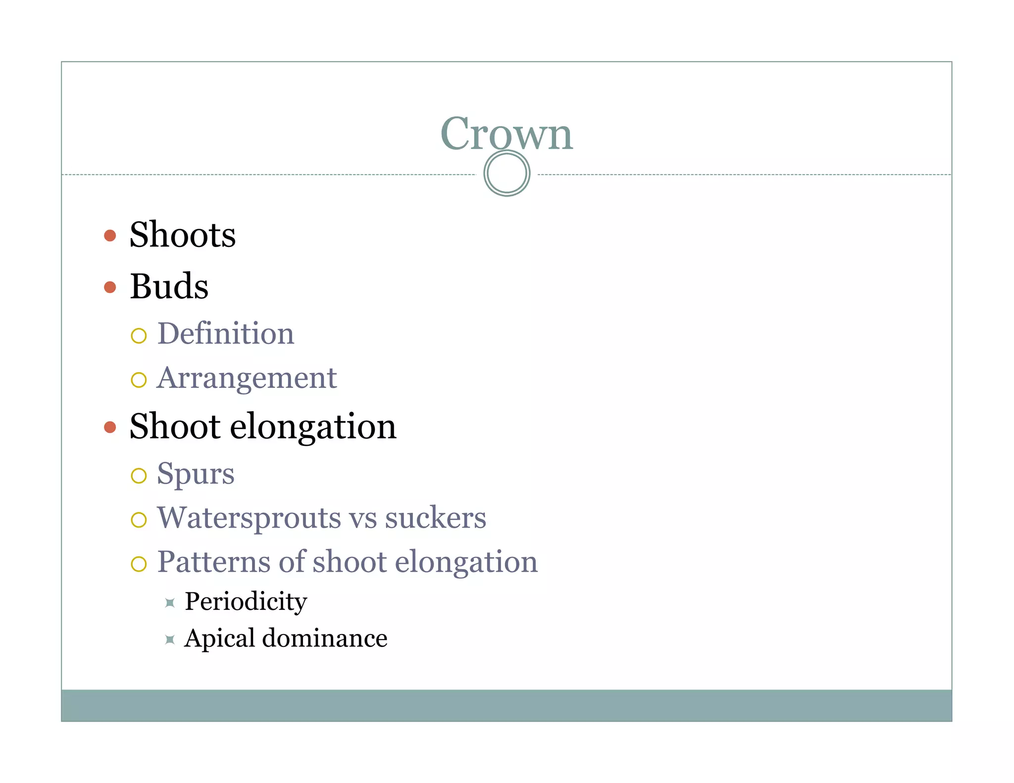 Plant Structure and Function (PDF).pdf
