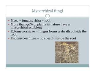 Plant Structure and Function (PDF).pdf