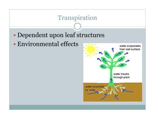 Plant Structure and Function (PDF).pdf