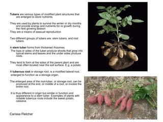 Plant structure and growth | PPT