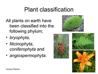 Plant structure and growth | PPT