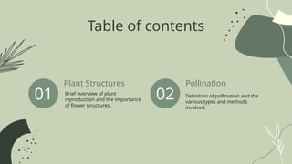 Plant Structure and Pollination IGCSE level.pptx