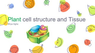Plant structure and tissue | PPTX