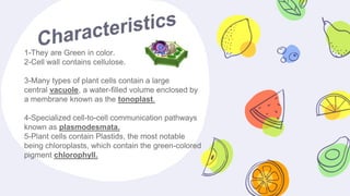 Plant structure and tissue | PPTX