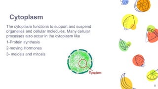 Plant structure and tissue | PPTX