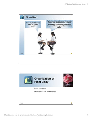 Plant structure ap bio | PDF