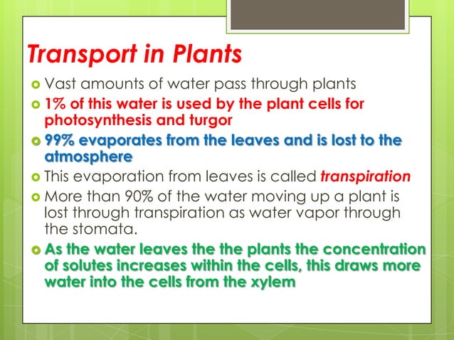 Plant structure function and transport | PPTX