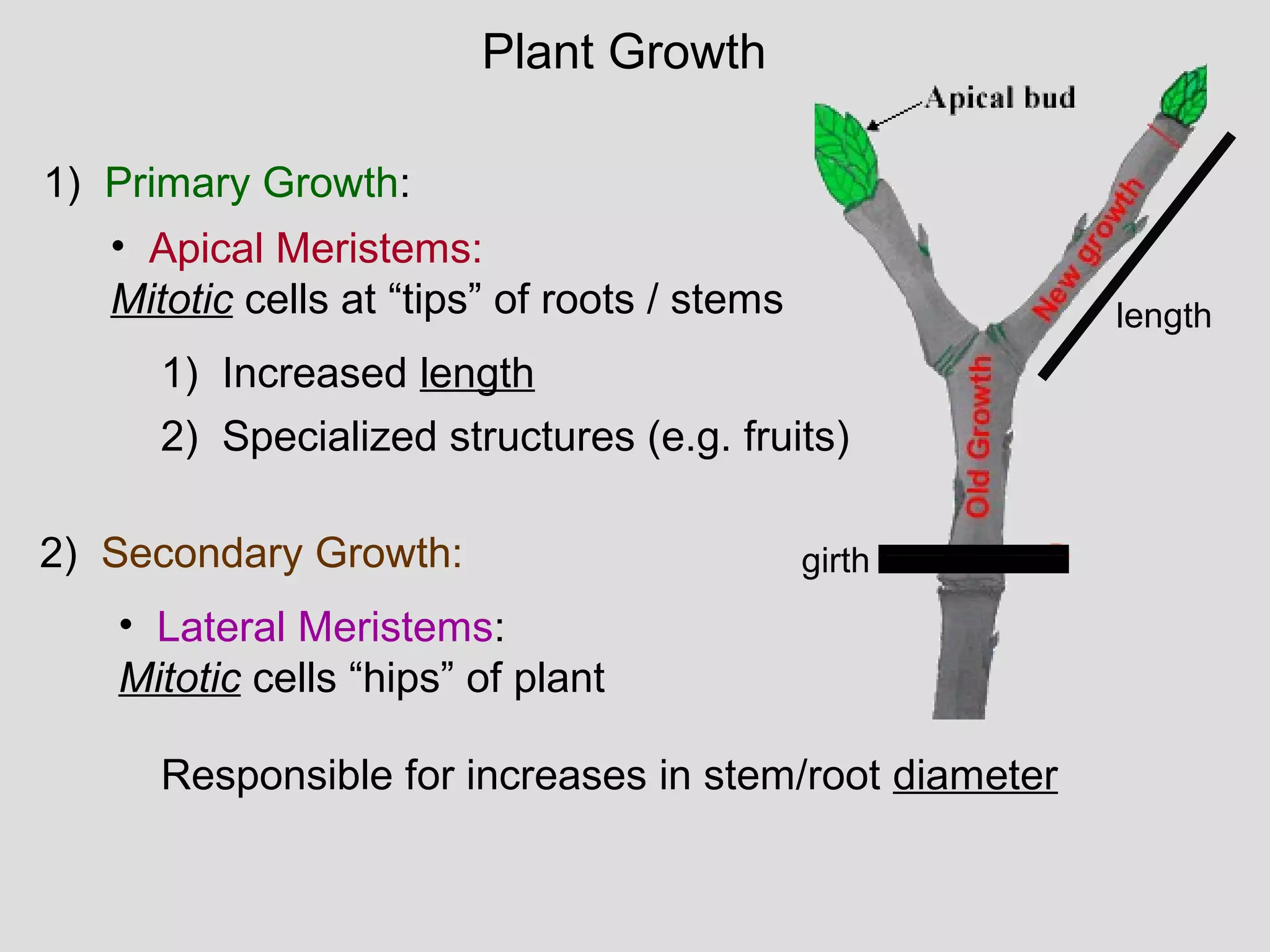 Plant structure, growth development | PPT