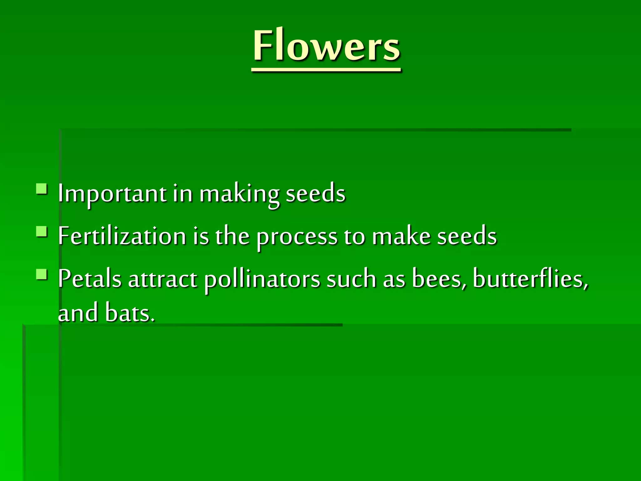 Plant structure and function powerpoint | PPT
