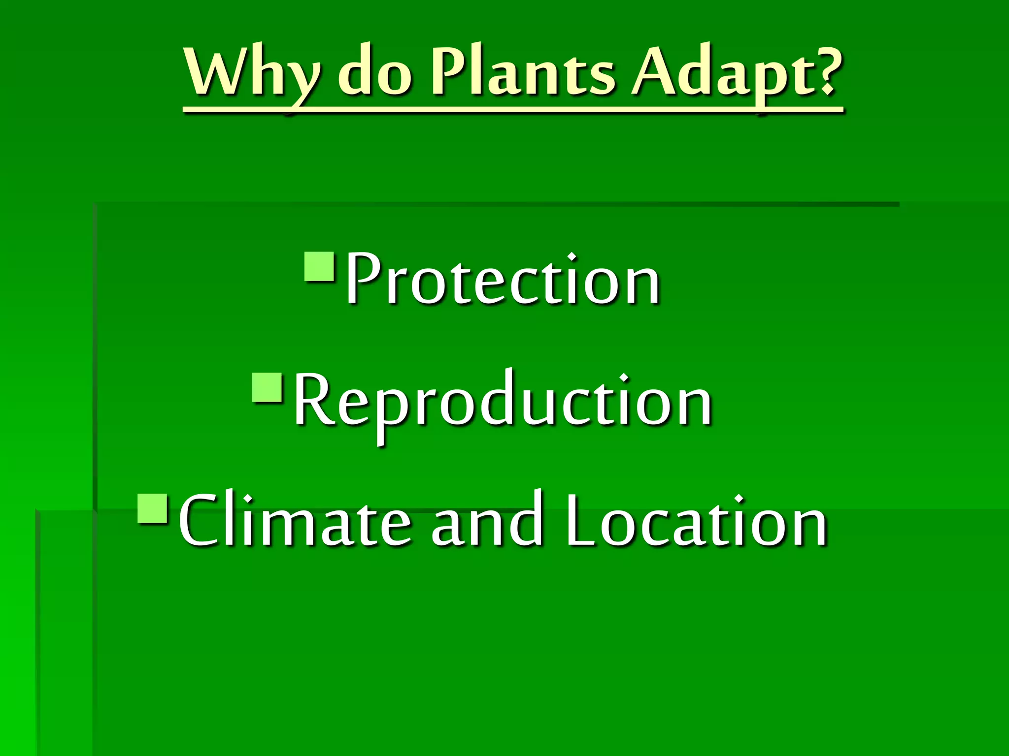 Plant structure and function powerpoint | PPT