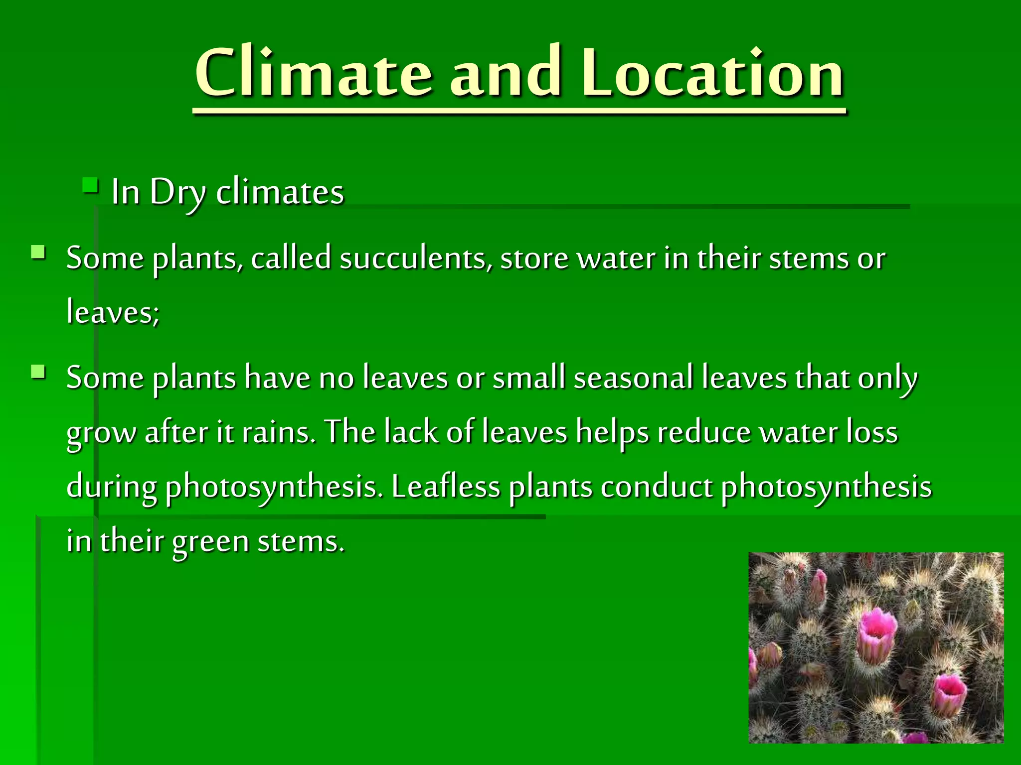 Plant structure and function powerpoint | PPT