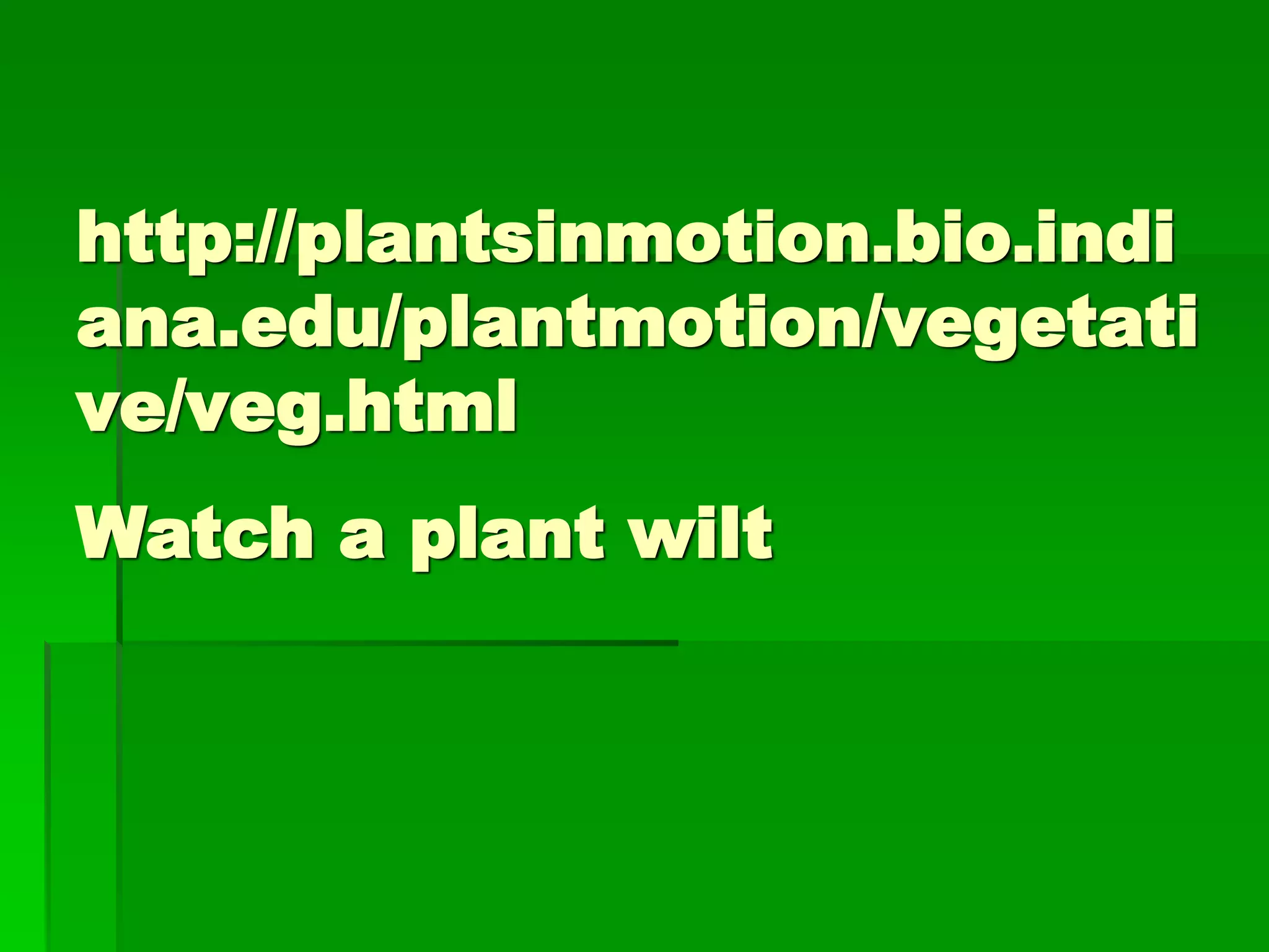 Plant structure and function powerpoint | PPT