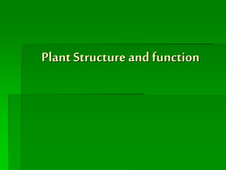 Plant structure and function powerpoint | PPT