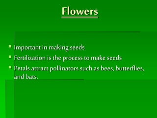 Plant structure and function powerpoint | PPT