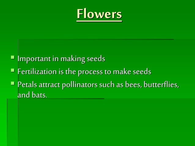 Plant structure and function powerpoint | PPT | Gardening | Home & Garden