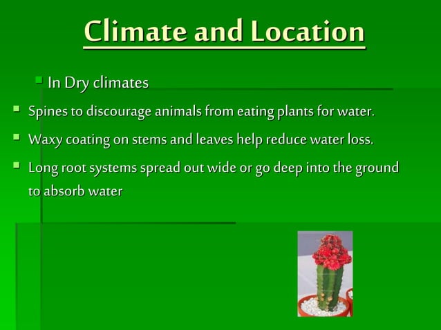 Plant structure and function powerpoint | PPT | Gardening | Home & Garden