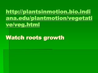 Plant structure and function powerpoint | PPT