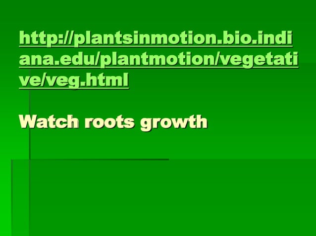 Plant structure and function powerpoint | PPT | Gardening | Home & Garden