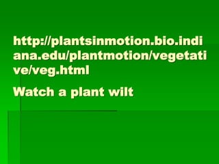 Plant structure and function powerpoint | PPT