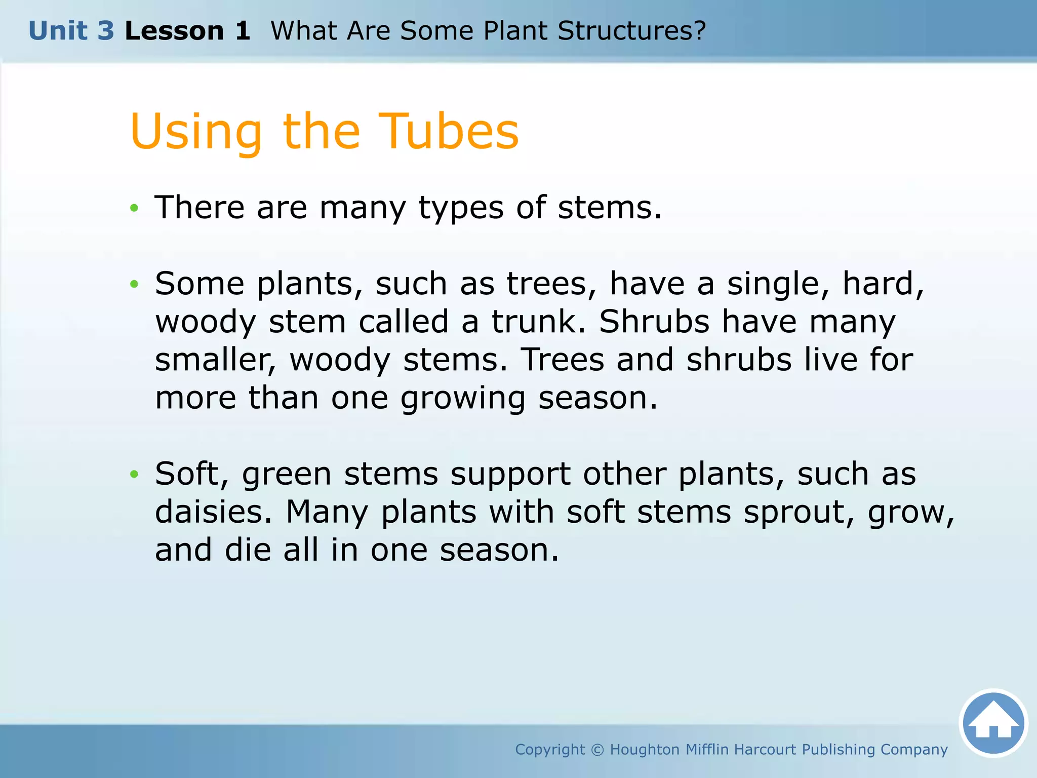 Plant_Structures.ppt