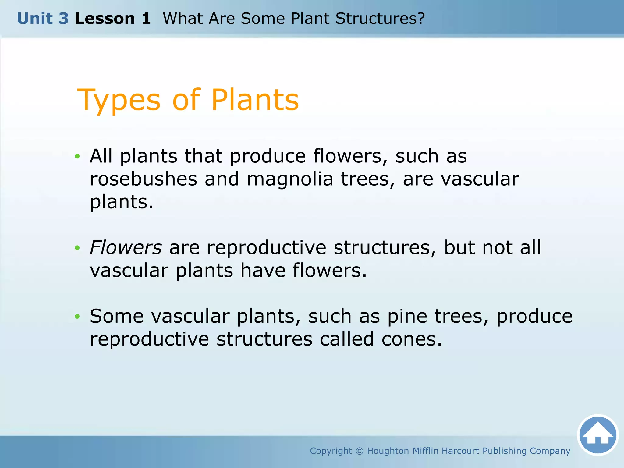 Plant_Structures.ppt