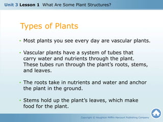 Plant_Structures.ppt