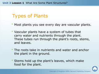 Plant_Structures.ppt on Life Science for Grade 11 | PPT