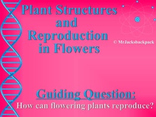 Plant_Structures_and_Flower_Reproduction_PPT.pptx